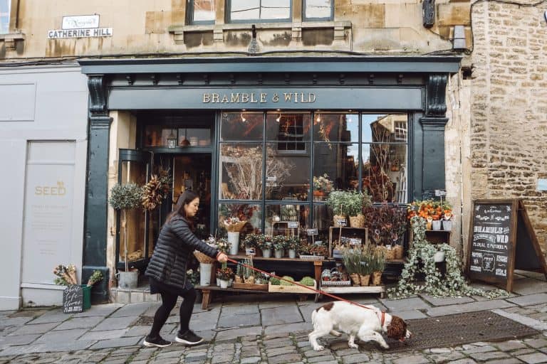 7 Things To Do in Frome England That You'll Love: A Complete Guide