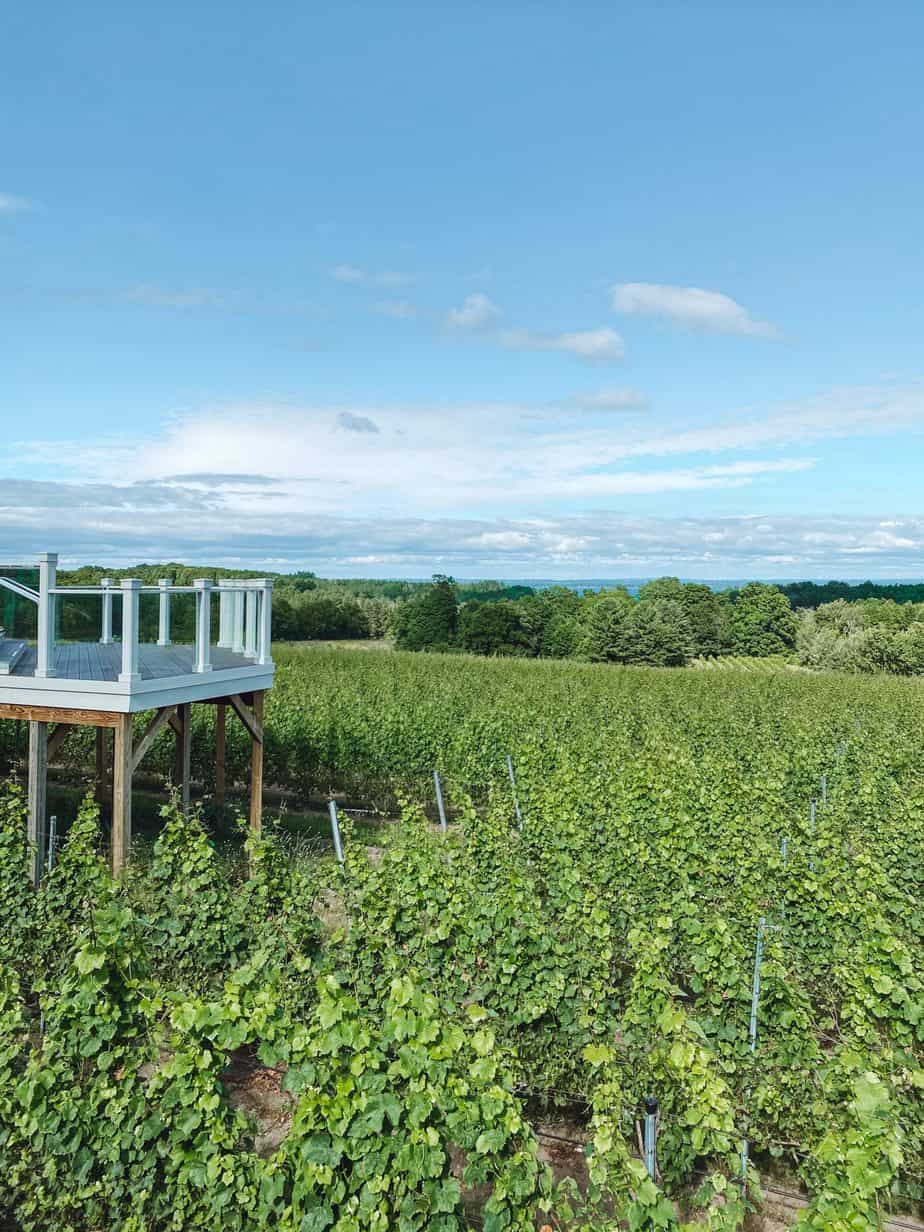 10 Best Old Mission Peninsula Wineries You Need to Visit