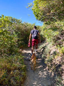 Santa Ana Volcano Hike in El Salvador: The Essential Guide (2024)