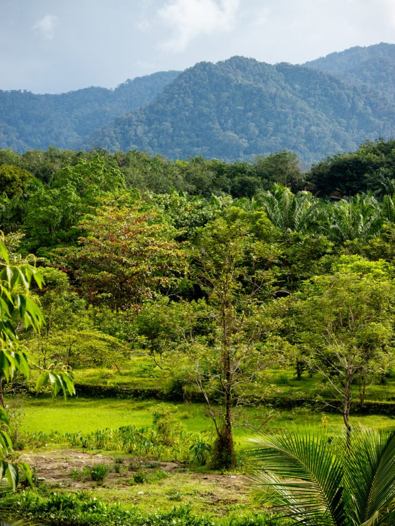 35 Best Photos of Sumatra Indonesia to Inspire Your Visit